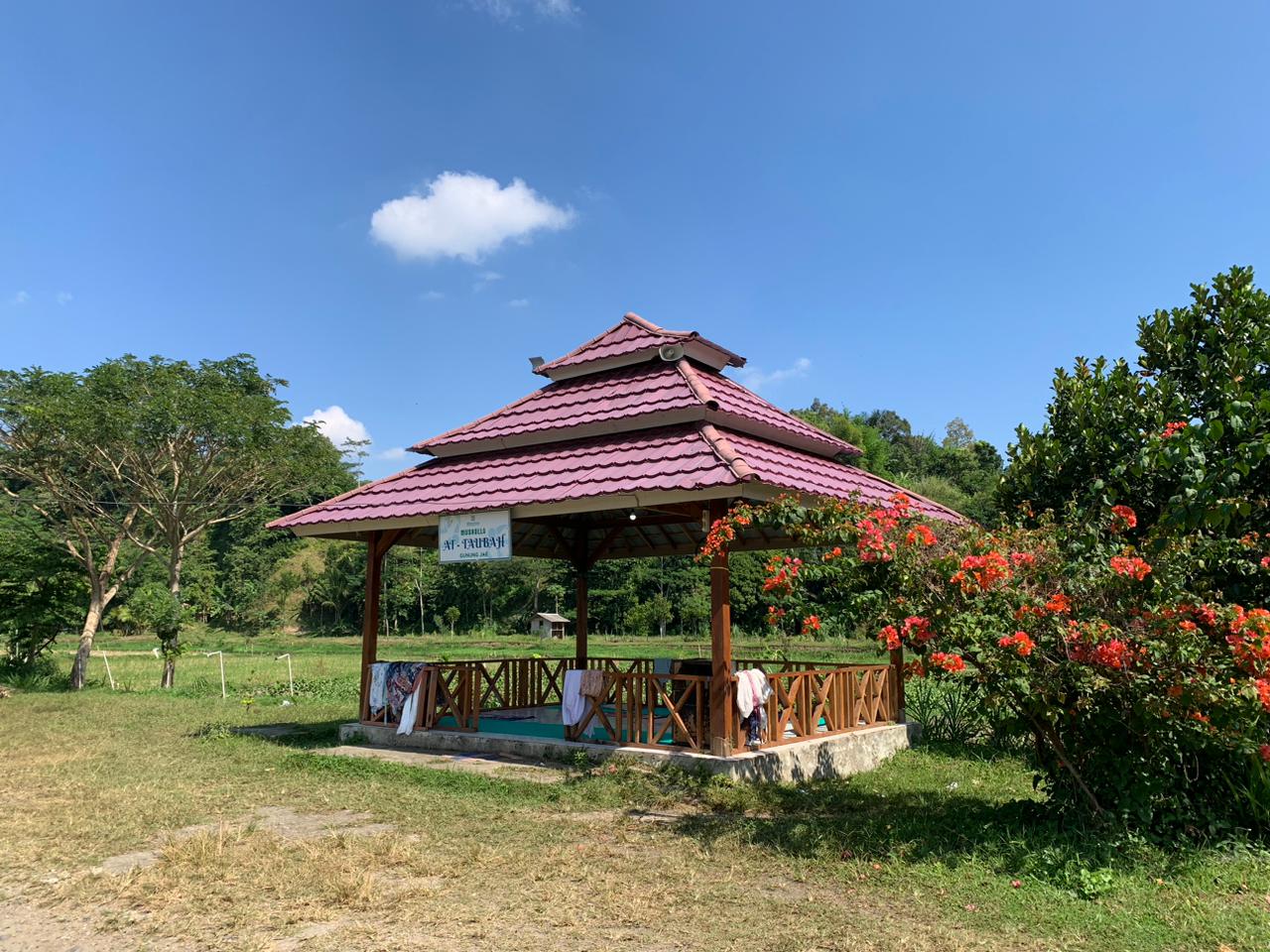 Pesona wisata alam gunung jae, menikmati keindahan danaunya - Lombok ...